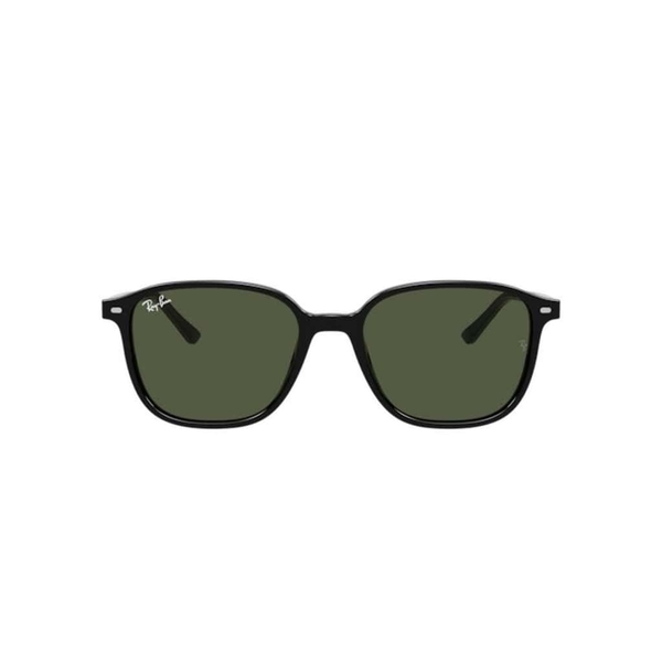 RAY-BAN 2193 901 31 55 Sunglasses