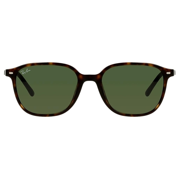 RAY-BAN 2193 902 31 53 Sunglasses